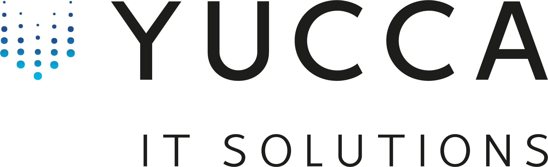 Home - Yucca IT Solutions - Swiss IT Services company